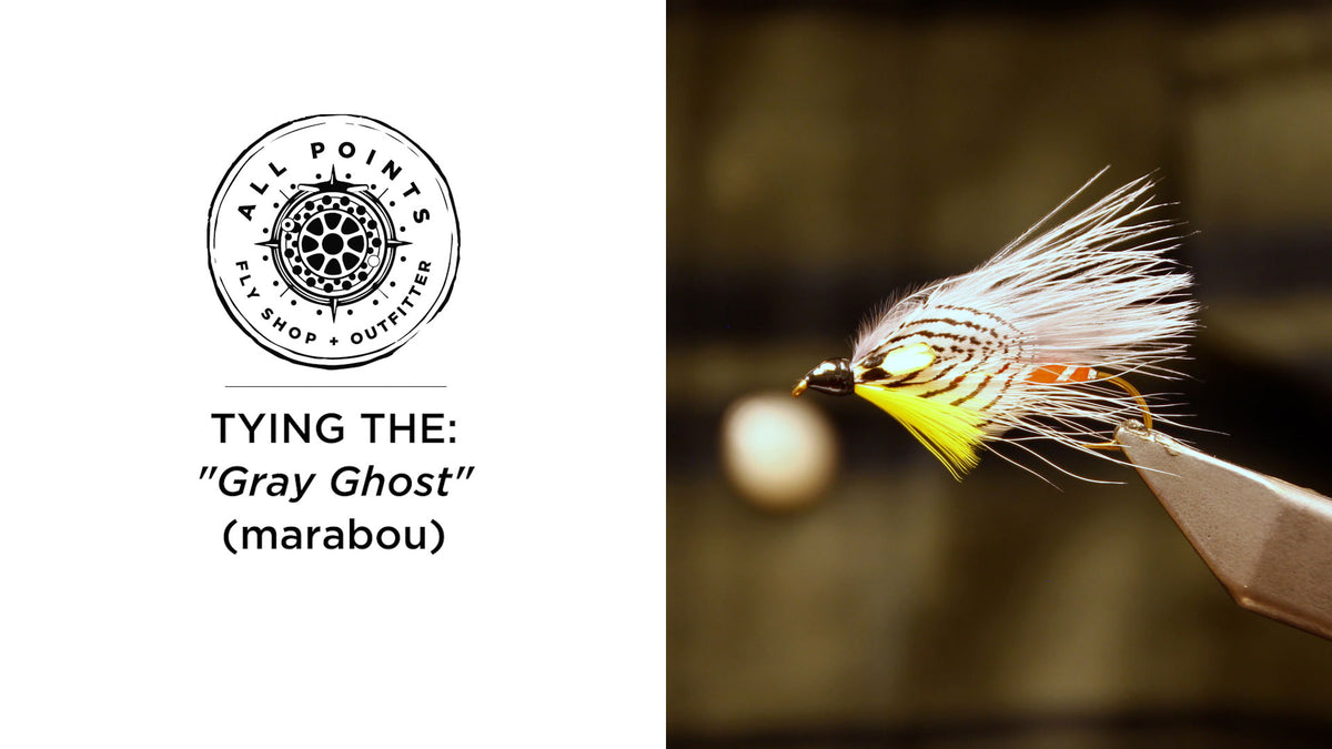 Video: Fly Tying - Gray Ghost (Marabou)– All Points Fly Shop + Outfitter