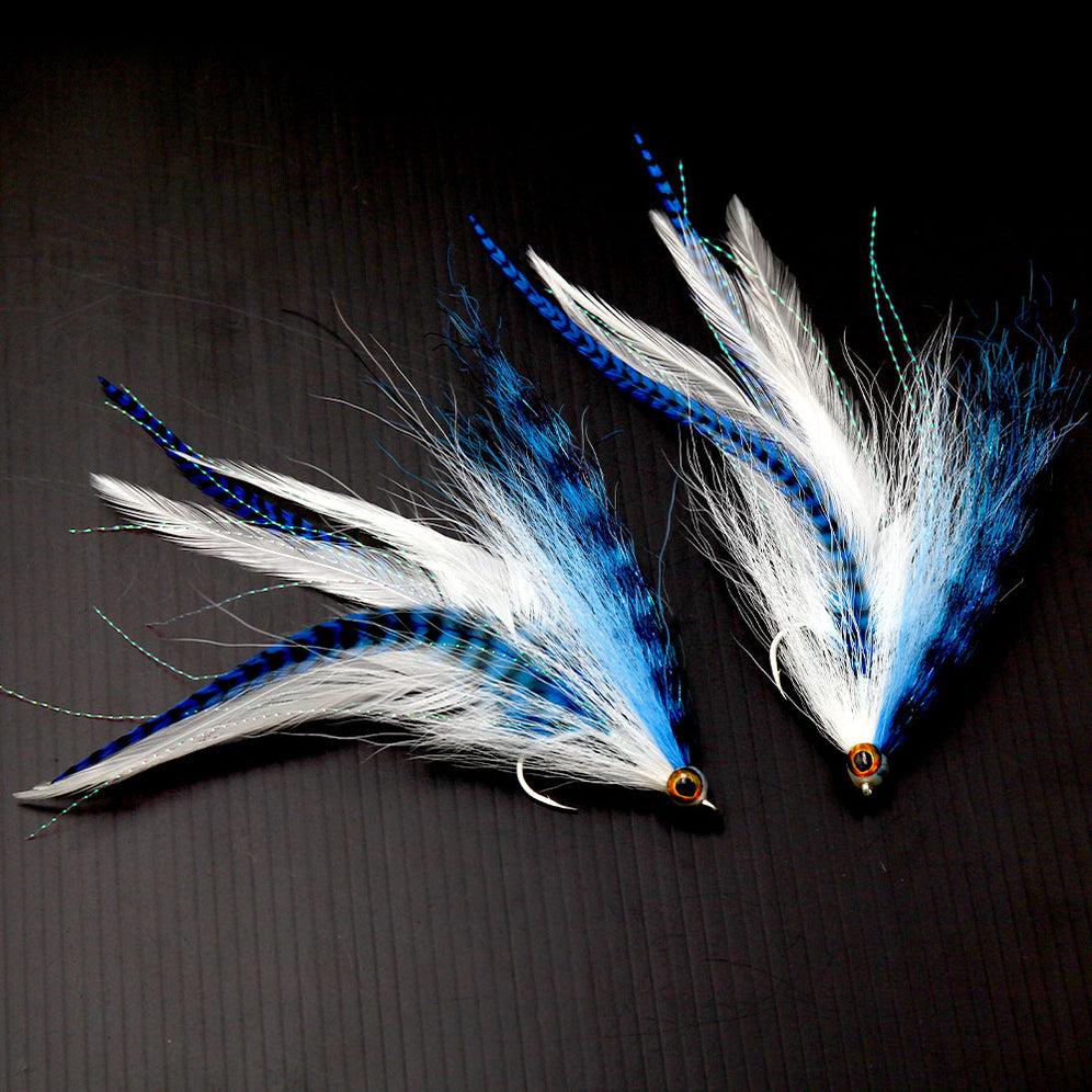 All Points Fly Shop + Outfitter