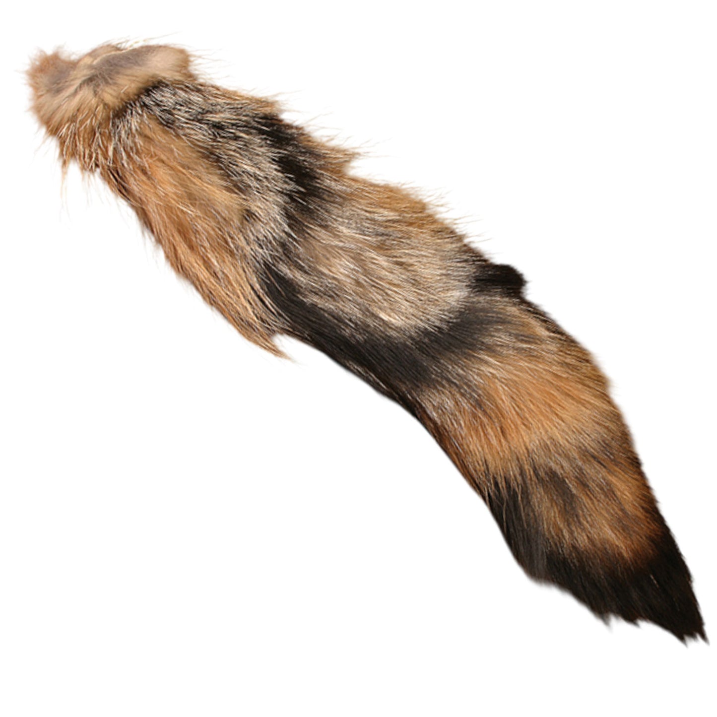 Complete Coyote Tail – ALL POINTS FLY SHOP + OUTFITTER