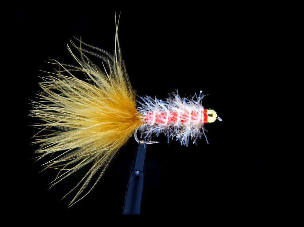 Trout + Landlocked Salmon Flies– All Points Fly Shop + Outfitter